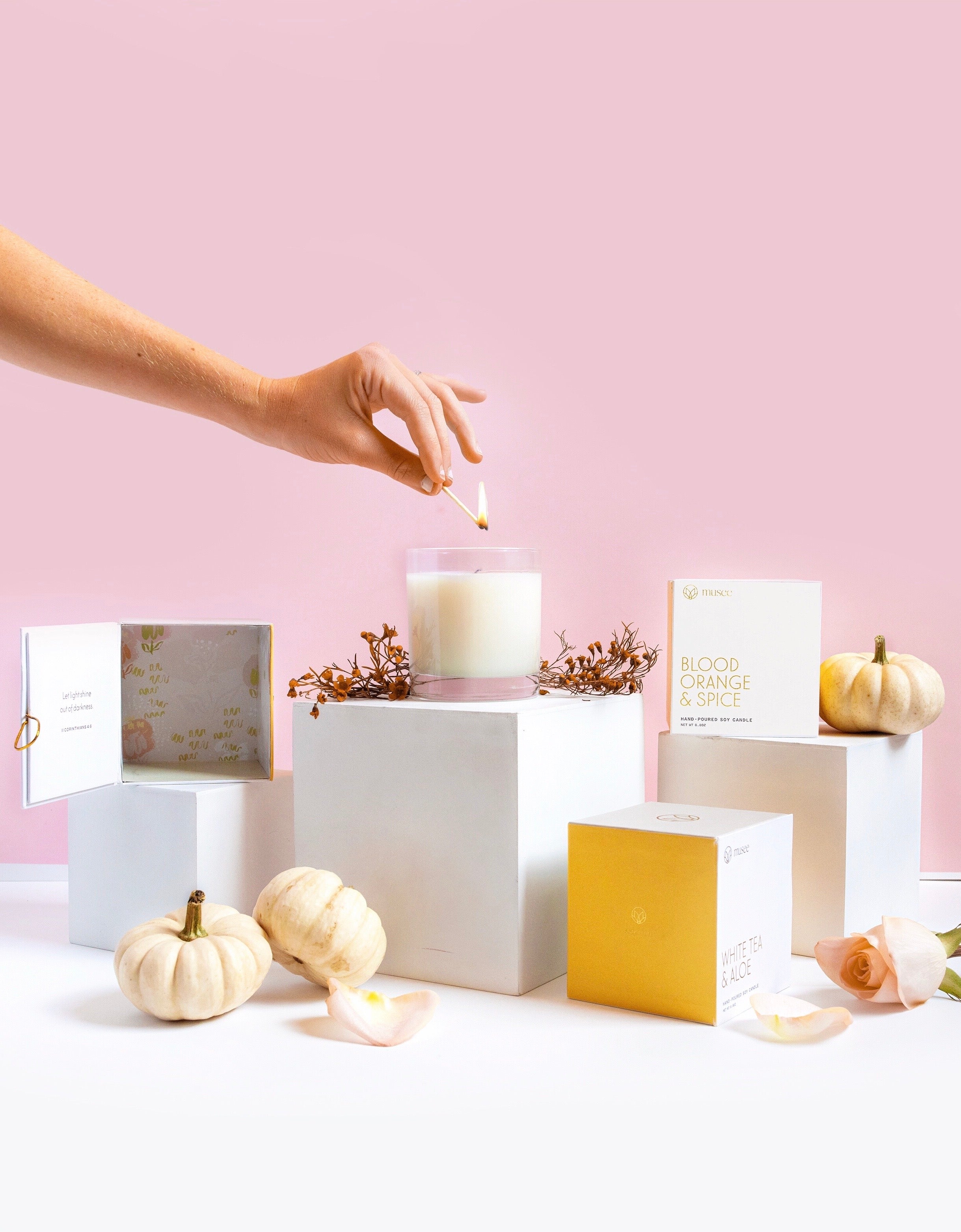 All Product Images – Musee Wholesale